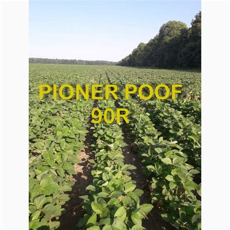 Продам семена сои, купить семена сои, Киевская обл — Agro-Ukraine