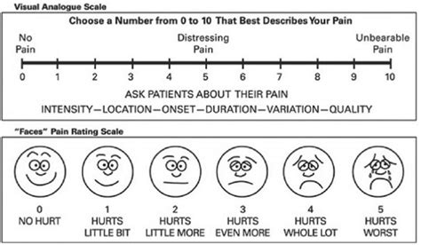 통증평가도구와 통증관리 지침 실제 현장에서의 통증평가방법 네이버 블로그