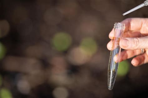 Premium Photo Taking A Soil Sample For A Soil Test In A Field Testing
