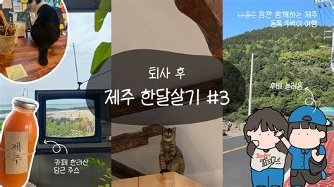 Vlog 퇴사 후 혼자 제주 한달살기 브이로그 3 부제 친구가 놀러왔어요 1 동쪽 뚜벅이 알음알음하도 무화과 한입 카페 픽업 종달리 종달리엔 심야