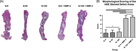 Histological Grading Of Defect Healing A Histological Staining Of