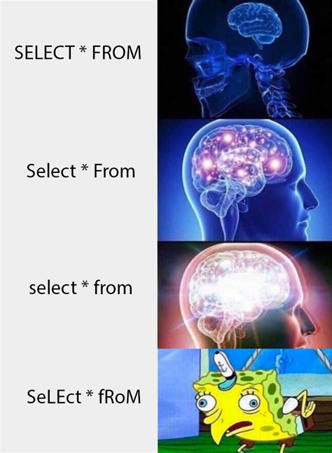 sql master r programmerhumor