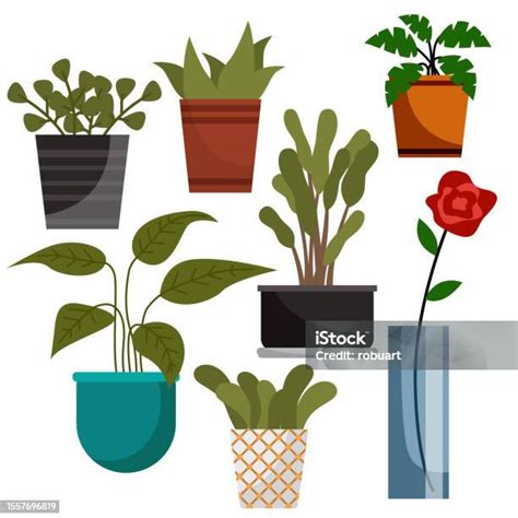 냄비 벡터 플랫 화분 세트에 심습니다 가정 인테리어를 위한 실내 화분에 심은 장식용 관엽식물 0명에 대한 스톡 벡터 아트 및