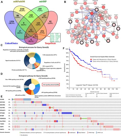 A The Venny Plot Reveals That 12 Overlapping Mrnas In Linkedomics” Download Scientific