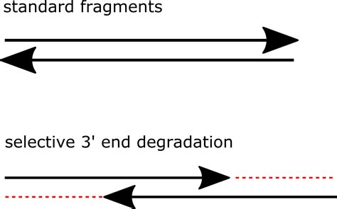 interesting m bias pattern · issue 200 · felixkrueger bismark · github
