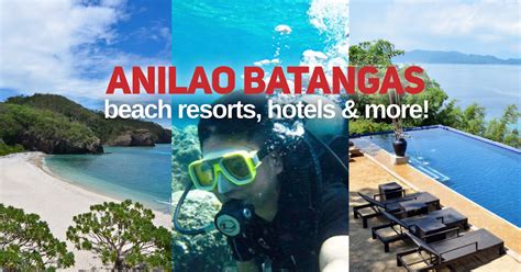 Top 10 Anilao Beach Resorts In Batangas Luxury And Affordable Resorts