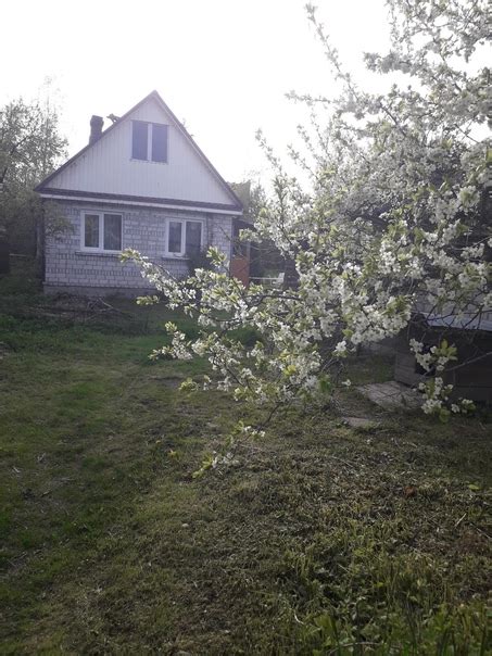 Дом с участком в деревне Коккорево Теплый можно проживать круглый год В доме есть холодная и