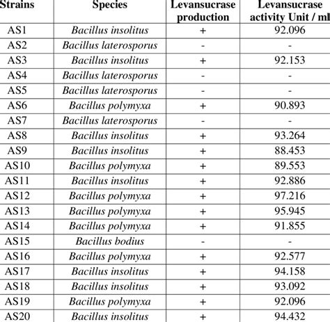 Bacillus Species Levansucrase Production Download Scientific Diagram