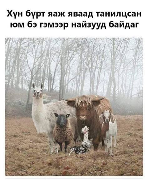 Н Сарантуяа