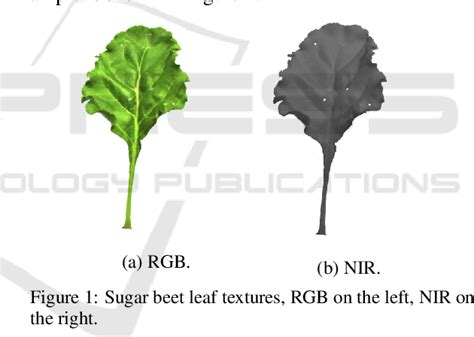 Figure 1 From Simulation Of Near Infrared Sensor In Unity For Plant
