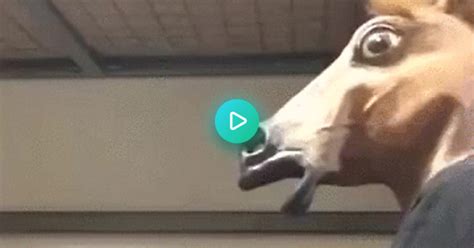 Lets Fucking Go  On Imgur