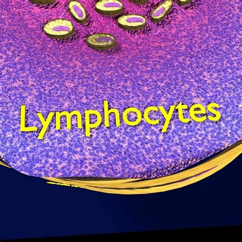 Fichier 3d Modèle 3d étiqueté Du Granuleux Tuberculeux Caseating