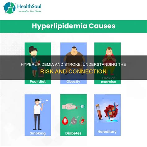 Hyperlipidemia And Stroke Understanding The Risk And Connection Medshun