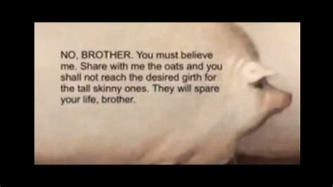 oats youtube