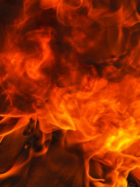 무료 이미지 불꽃 화상 뜨거운 모닥불 따뜻한 불 같은 배경 지옥 닫다 주황색 캠프 불 타오르는 조직 가연성의 에너지 점화하다 검은 들불