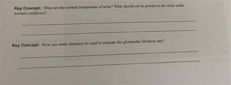 Solved Key Concept Why Is The Medullary Osmotic Gradient