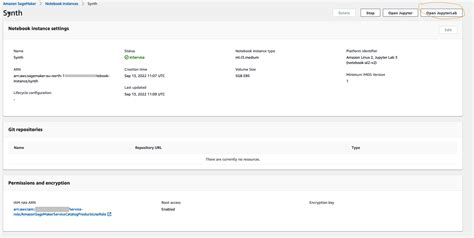 Augment Fraud Transactions Using Synthetic Data In Amazon Sagemaker Artificial Intelligence