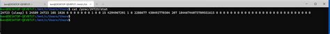 [wsl1] zsh command fork with wrong nice value 4294967291 · issue