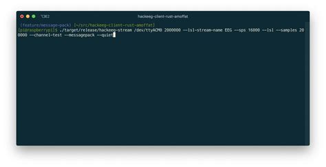 Hackeeg 16000 Samples Per Second On A Raspberry Pi 4