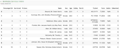 Pytorch 數據分析1 鐵達尼號生存預測分析 大大通繁體站