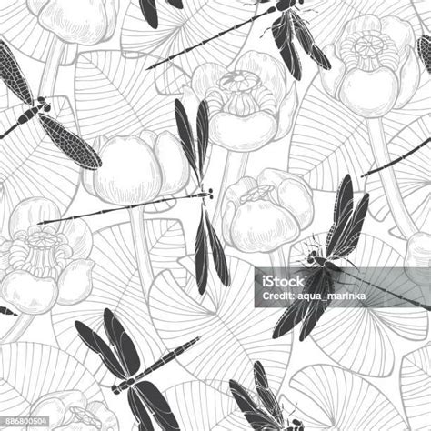 물 백합 및 잠자리 원활한 벡터 패턴입니다 흑백 손으로 그린 그림입니다 0명에 대한 스톡 벡터 아트 및 기타 이미지 0명 강 검은색 Istock