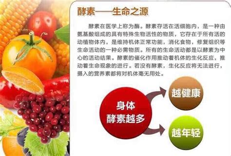 南京同仁堂果蔬酵素片果蔬酵素片压片糖果果蔬酵素片大山谷图库