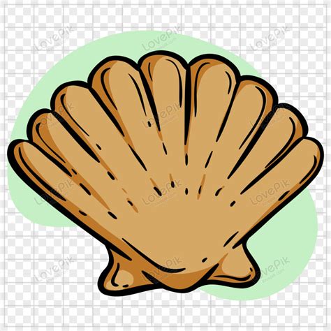 조개 그림 Png 일러스트 무료 다운로드 Lovepik