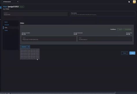 Bug No Disk Shows Up When Plugging A New Disk To Add To Host · Issue 1208 · Harvester