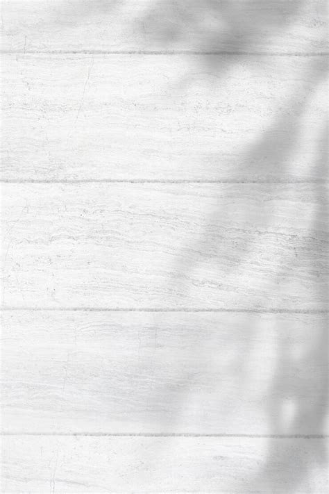 나무 질감에 큰 나무 그림자와 배경 무료 사진