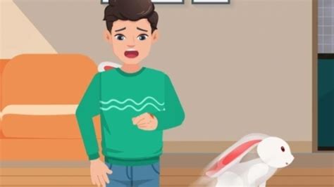 狗眼屎多怎么回事 狗眼屎多怎么清理 天奇生活