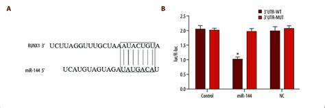 Runx1 Is A Direct Target Of Mir 144 In Ovarian Cancer Cells A The Download Scientific