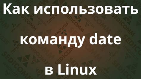Руководство по установке Kali Linux