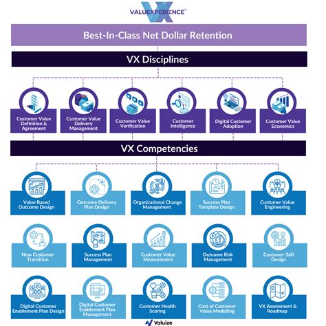 Valuexperience The Value Realization Framework To Boost Ndr Valuize