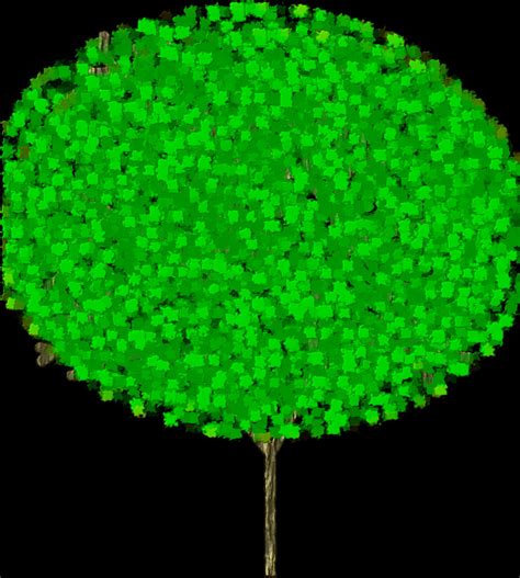 Tree Pack OpenGameArt Org Tree Pack OpenGameArt Org