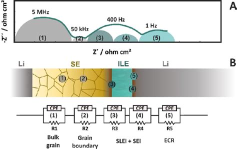 A Nyquist Plot Of Li Ile Se Li Green Line Cell With Its Respective Download Scientific