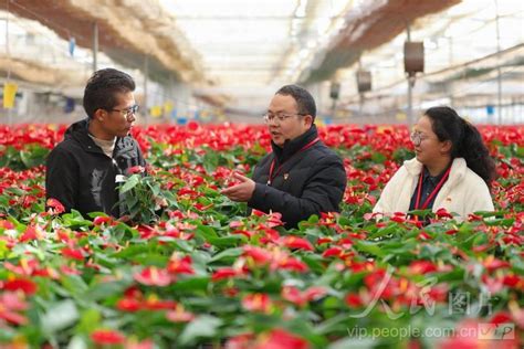 云南陆良：产业一线走访调研 人民图片网