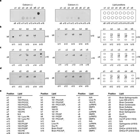 Proteinlipid Overlay Analysis A D Proteinlipid Overlay Assay Using
