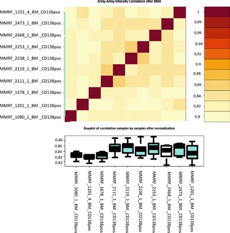 Example Of Heat Map Of The Array Array Spearmanpearson Rank