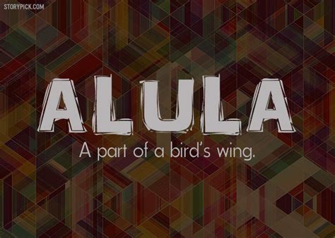 Did You Know About These Awesome Palindromes And Their Meanings