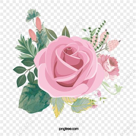 핑크 일러스트 우아한 신선한 식물 잎 꽃 손으로 그린 요소포도 수확백색 Png 일러스트 무료 다운로드 Lovepik