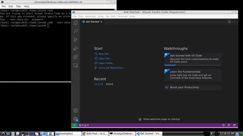 Installing Ns On Old Lubuntu LTS Operating System