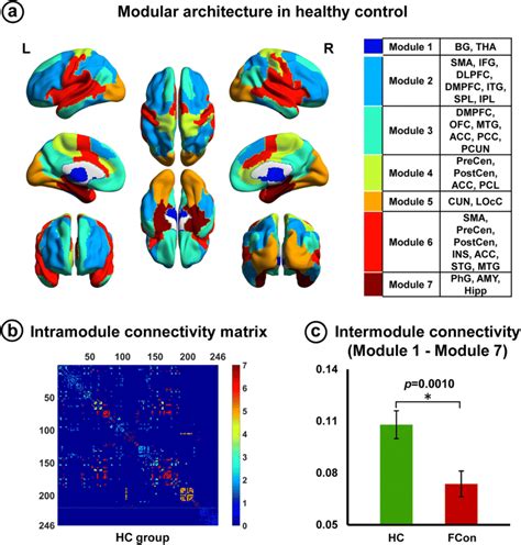 Spatial Distribution Of Network Modules And Connectivity Withinbetween