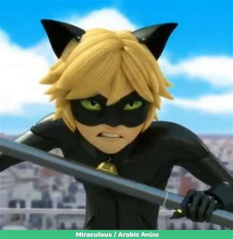 صور للقط الاسود ج3 Miraculous Arabic Amino