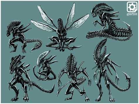 Alien Xenomorph Types