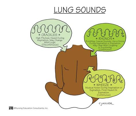 62 Best Ems Patient Assessment Images On Pinterest