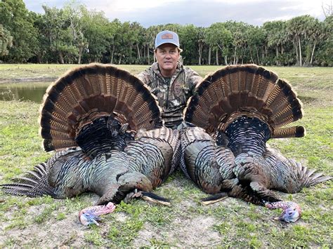 Turkey Hunting Season Florida 2022 At Daryl Hudson Blog