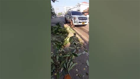 ອຸບັດເຫດລົດຄົນຈີນຕຳເສົາໄຟເຢືອງທາງເຂດບ້ານ ວັດຈັນ ເມືອງ ຈັນທະບູລີ ນະຄອນຫຼວງ ວຽງຈັນ Youtube