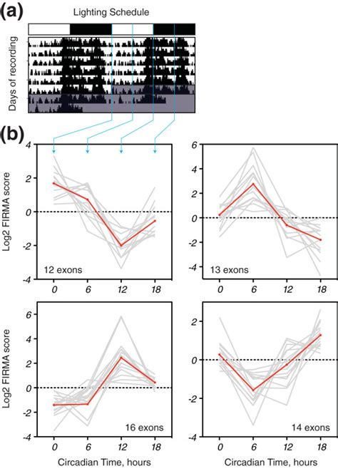 Firma Analysis Of Exon Arrays Reveals Circadian Alternative Splicing In Download Scientific