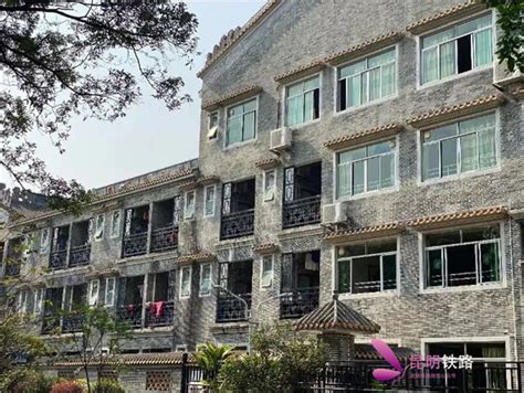 坐火车去广州感受南国风情 澎湃号·政务 澎湃新闻 The Paper