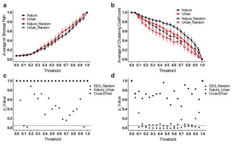 Enhanced Functional Connectivity Properties Of Human Brains During In